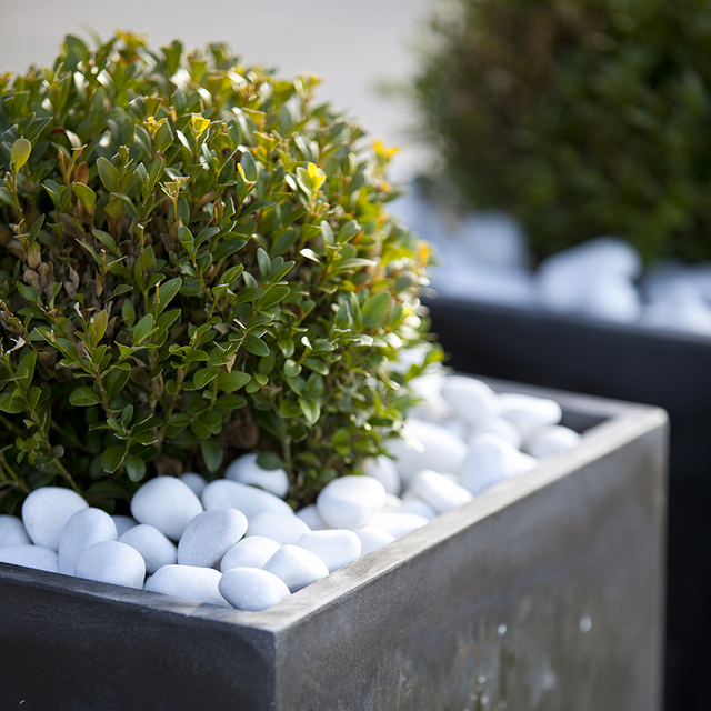 STEN GLOSS 20-40 POLER VIT | Beijer Byggmaterial